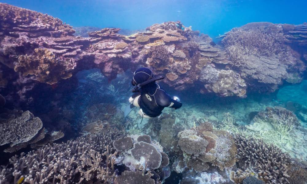 The Pressure Project -Sunshine Coast 2026 | Best-tickets.com.au