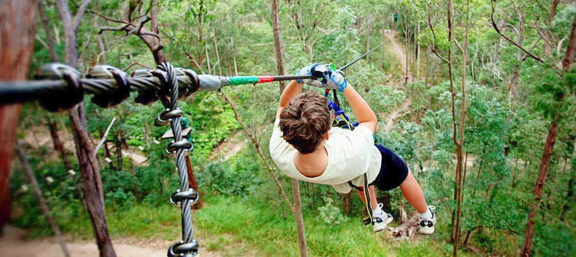 TreeTop Challenge Tamborine 2026 | Best-tickets.com.au