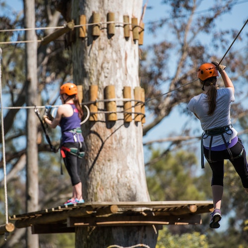 Treetops Adventure: Nowra Park 2025 | Best-tickets.com.au